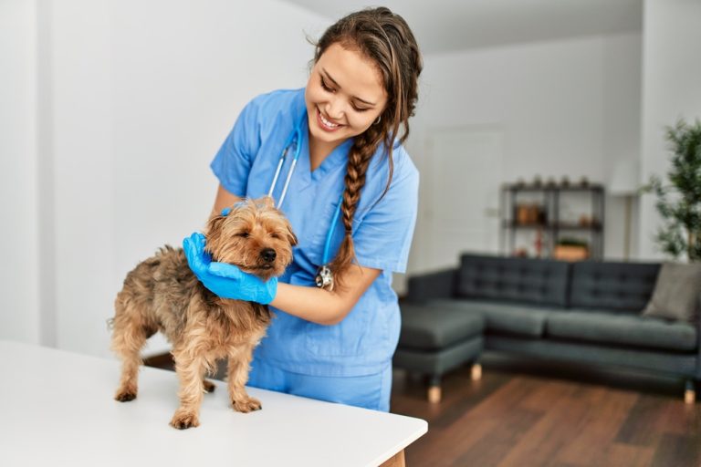 Mobile Veterinary Services in Greater Boston | A House Call Vet