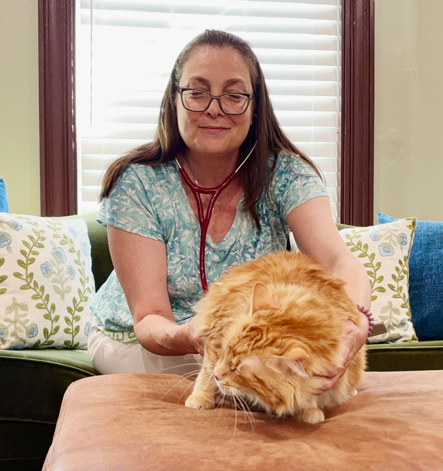 Mobile Veterinary Services in Greater Boston | A House Call Vet